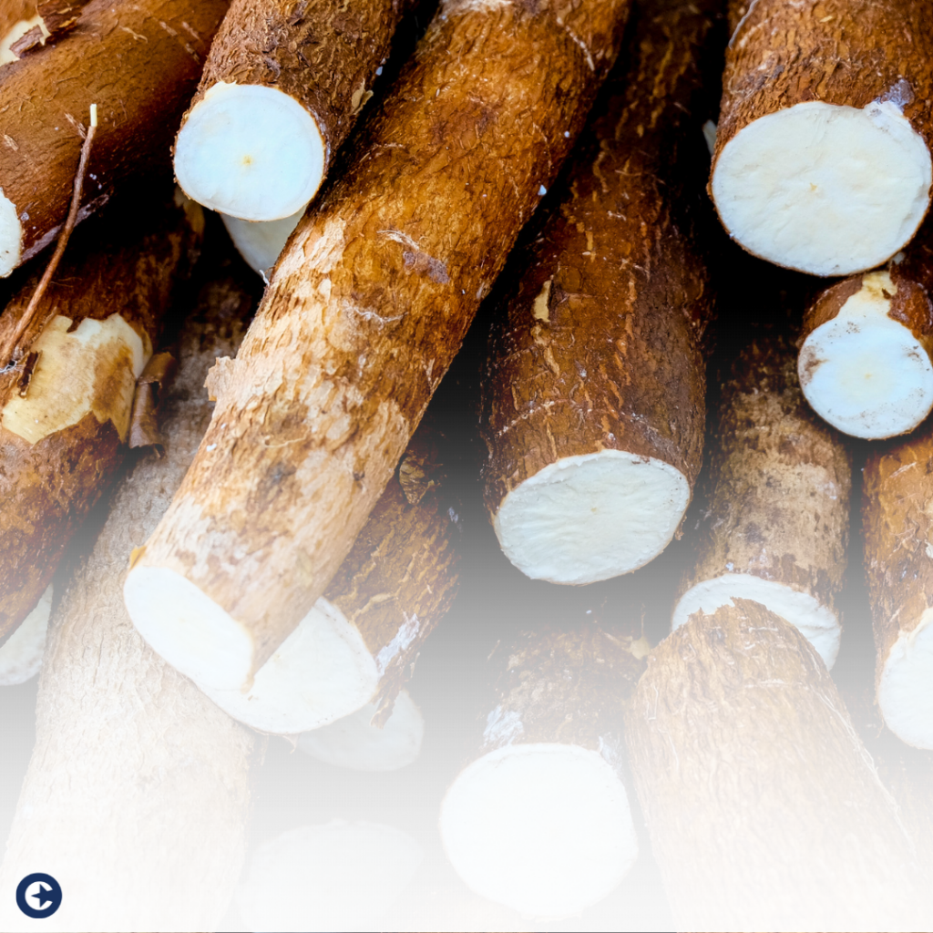 Celebrating National Tapioca Day: Exploring The Delightful World Of ...